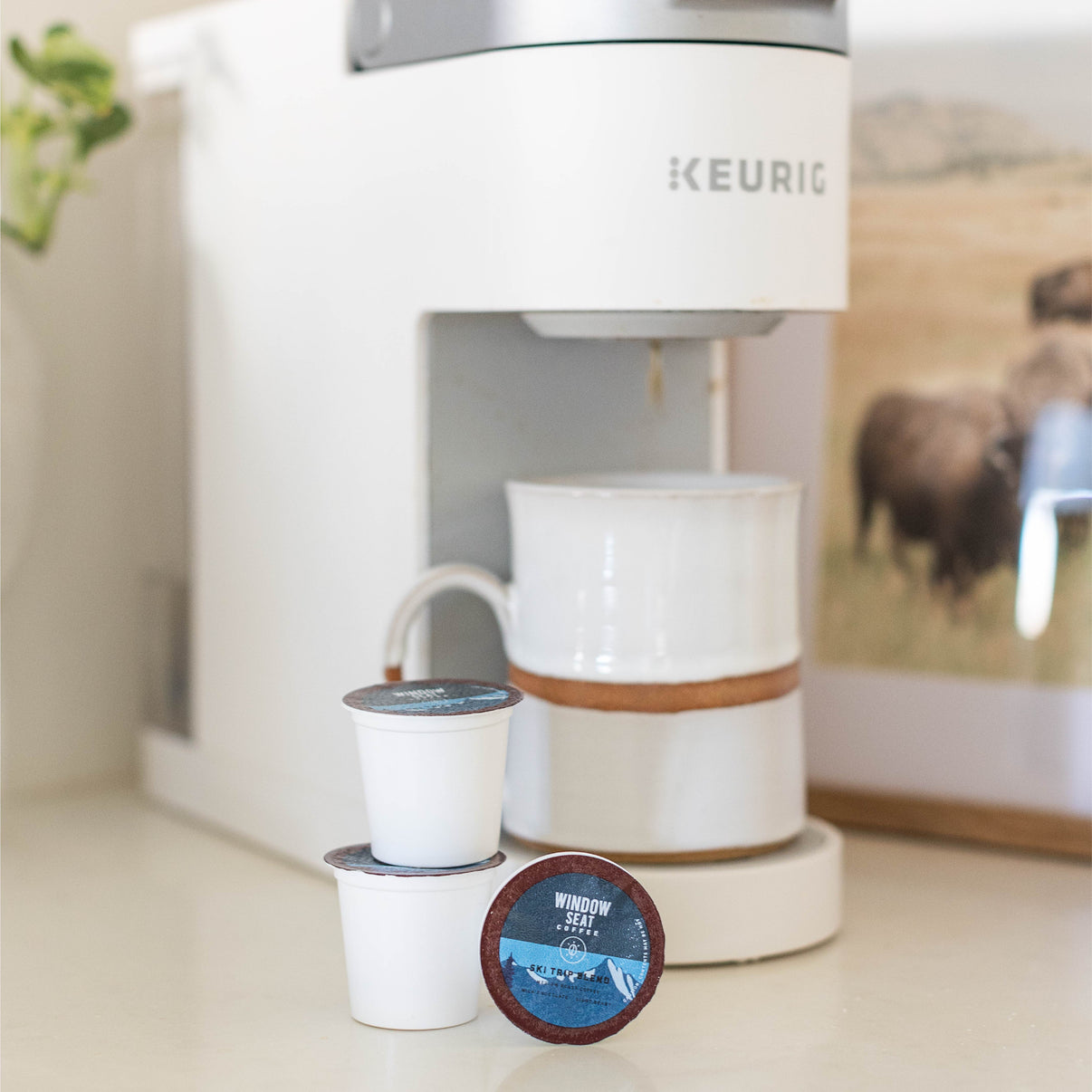 Ski Trip Blend | Single Serve Pods – Window Seat Coffee