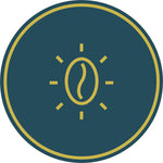 Window Seat Coffee | Coffee Roaster