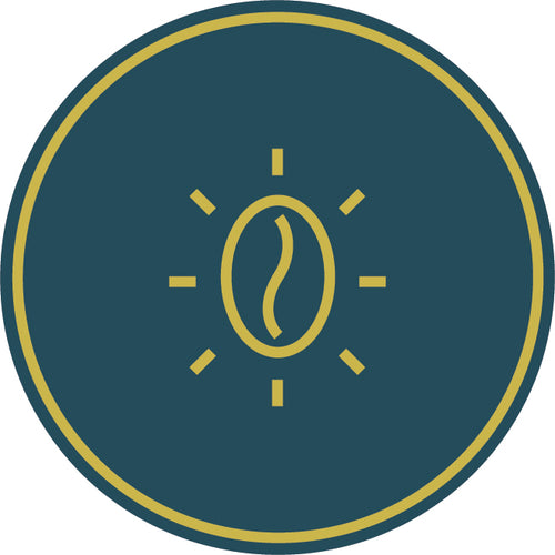 Window Seat Coffee | Coffee Roaster